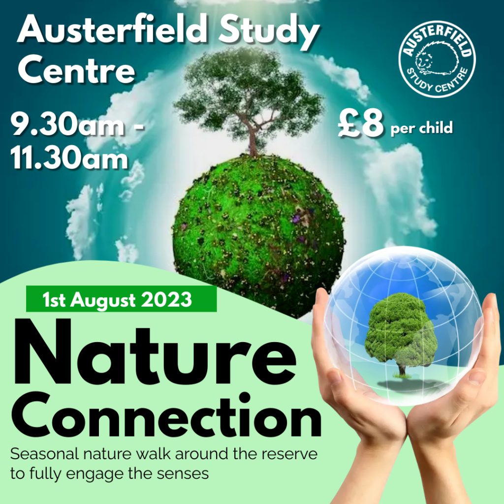 Family Fun - Austerfield Centre