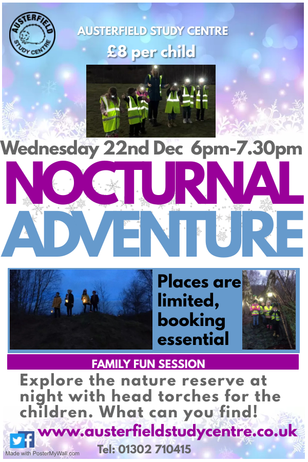 Family Fun - Austerfield Centre