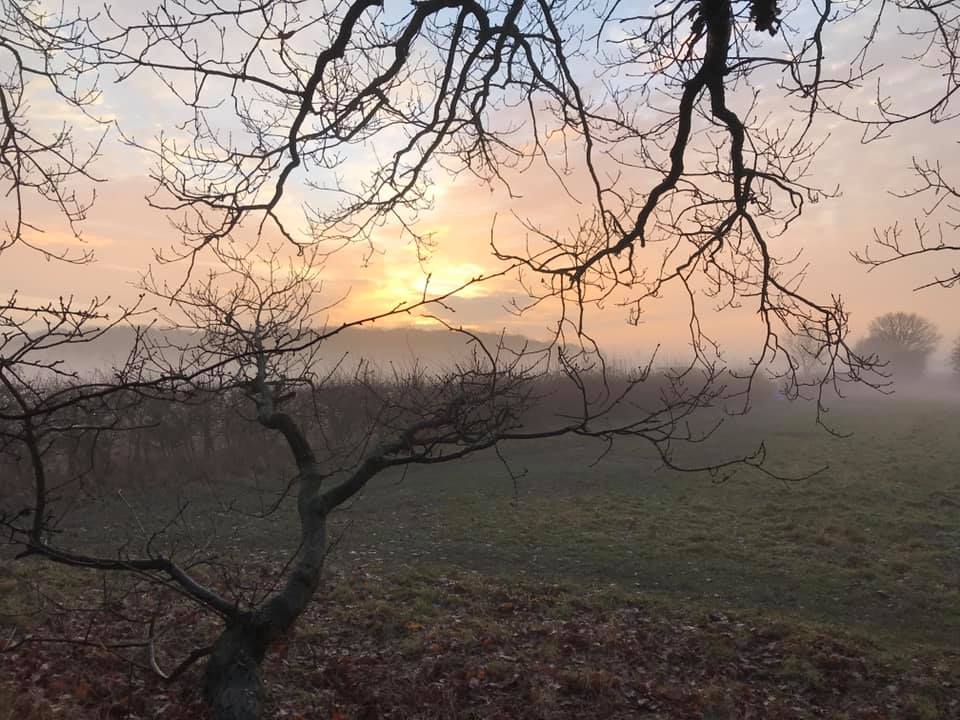 Our Story - Austerfield Centre